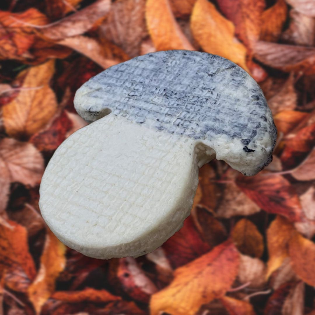 Le Cèpe du Quercy - Fromages de Cocagne